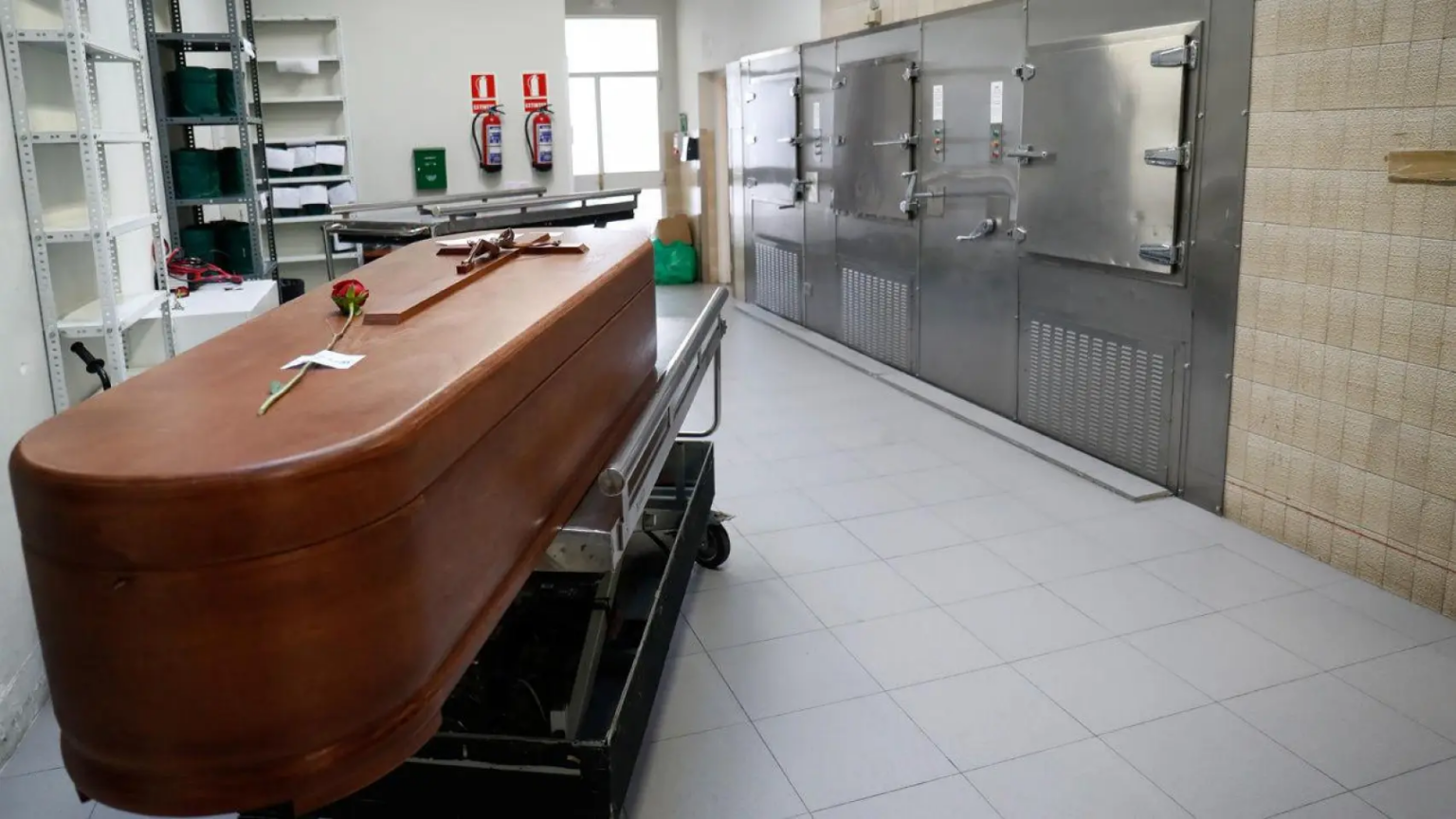 Impacto Ambiental de los Hornos Crematorios: Una Amenaza Silenciosa para la Salud y el Medio ...